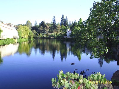 Rinconada Hills Association - Welcome To Our Community!!